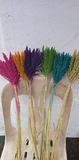 Dried Trigo – ANEC Global