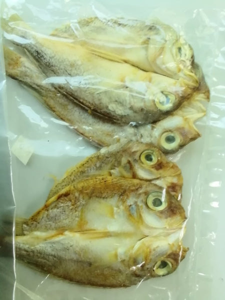 Isda sa Bato – ANEC Global